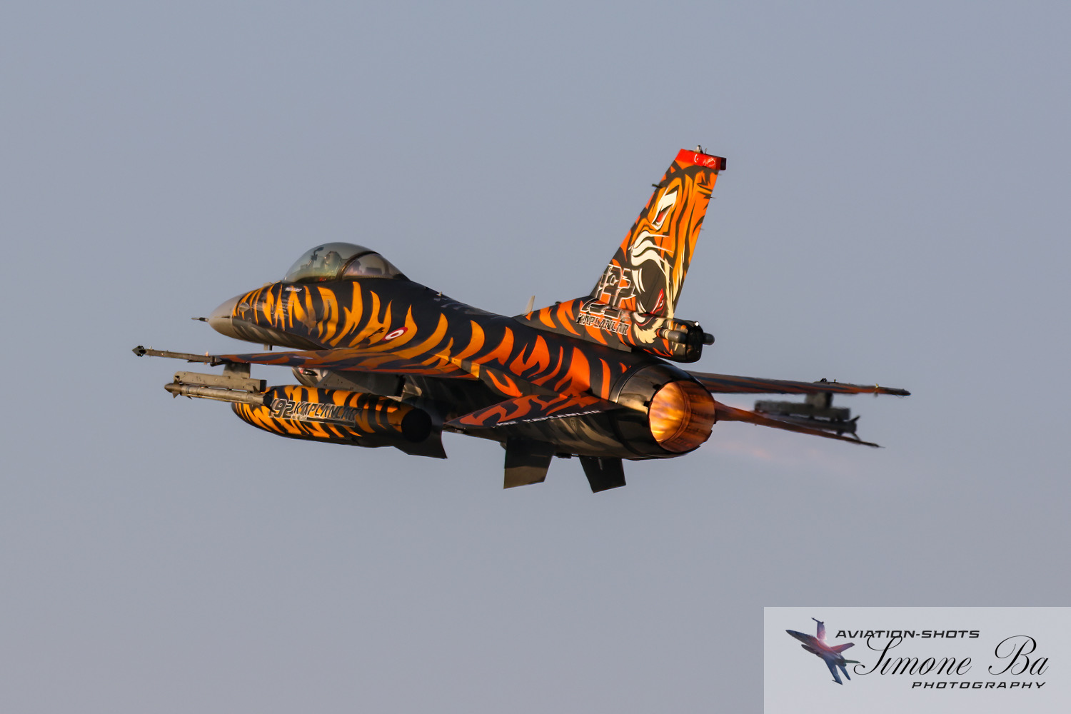 2023 - NATO TIGER MEET 2023 - GIOIA DEL COLLE - Aviation Shots